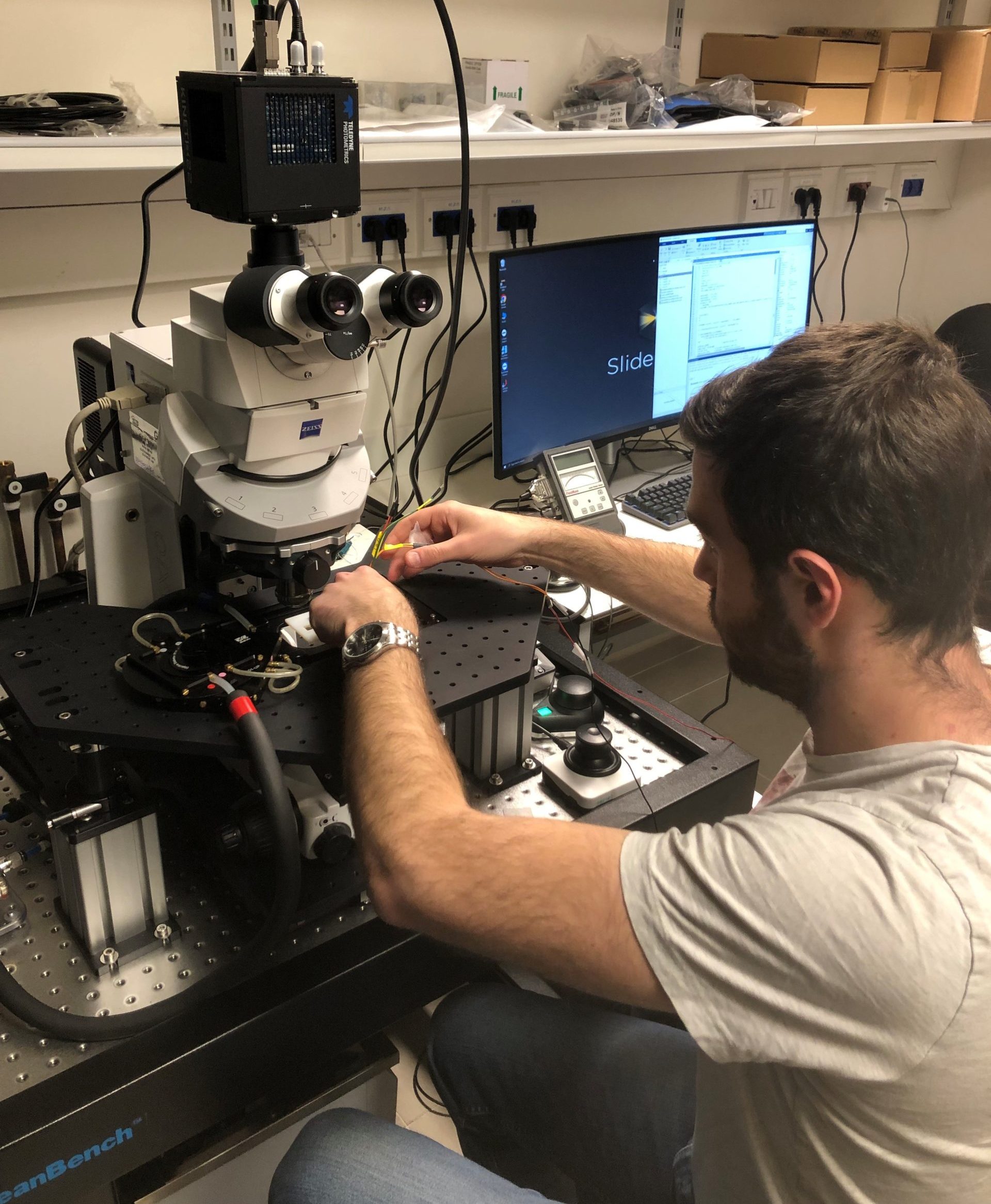 Research – Michael Levy Lab